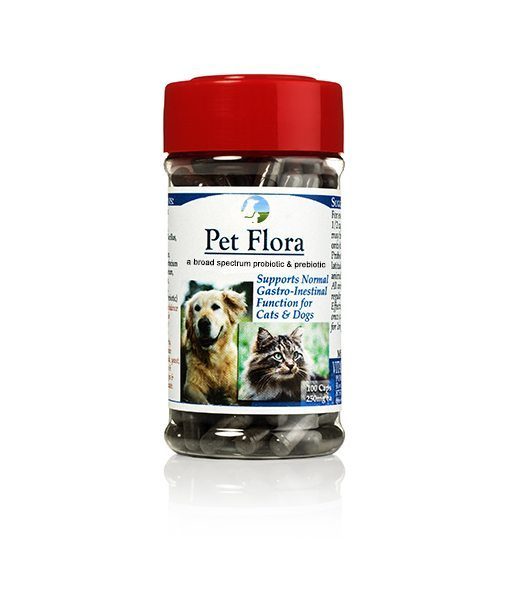 Pet Flora, Cat Probiotics Supplement | Vitality Science