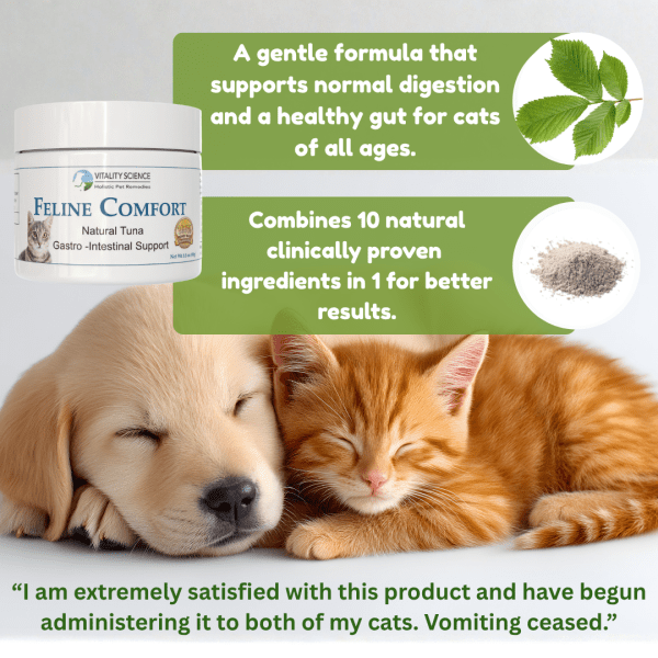 Digestive Aid for Cats | Feline Comfort | Vitality Science
