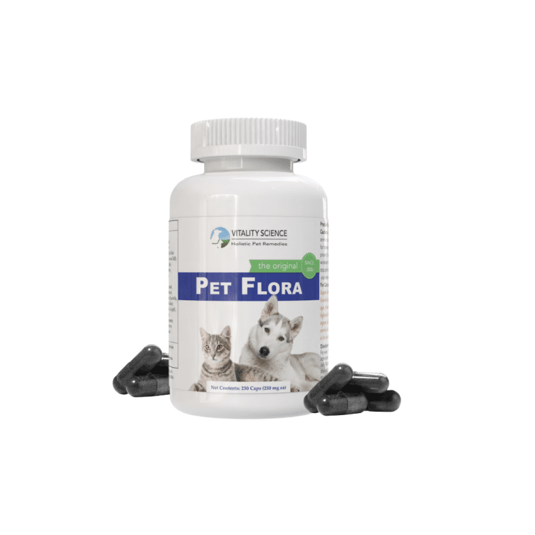 Natural Probiotics for Cats | Vitality Science